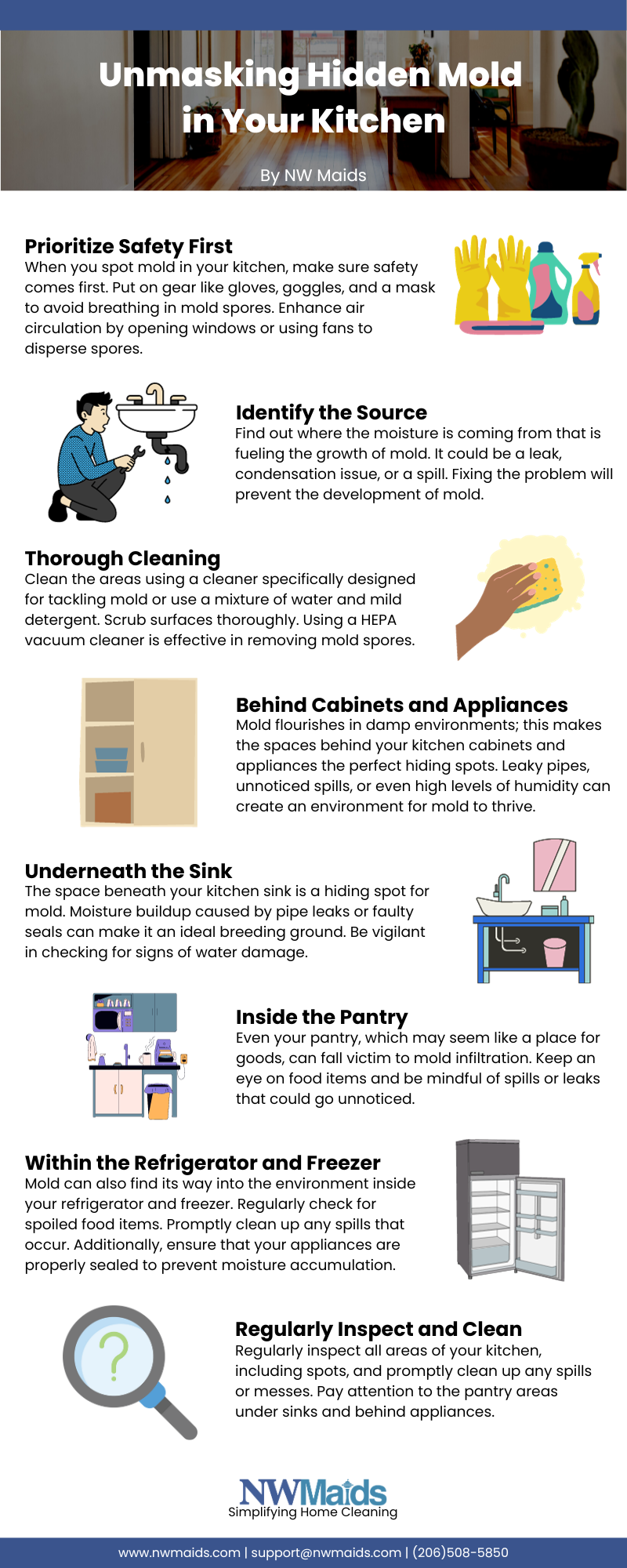 Unmasking Hidden Mold in Your Kitchen | NW Maids