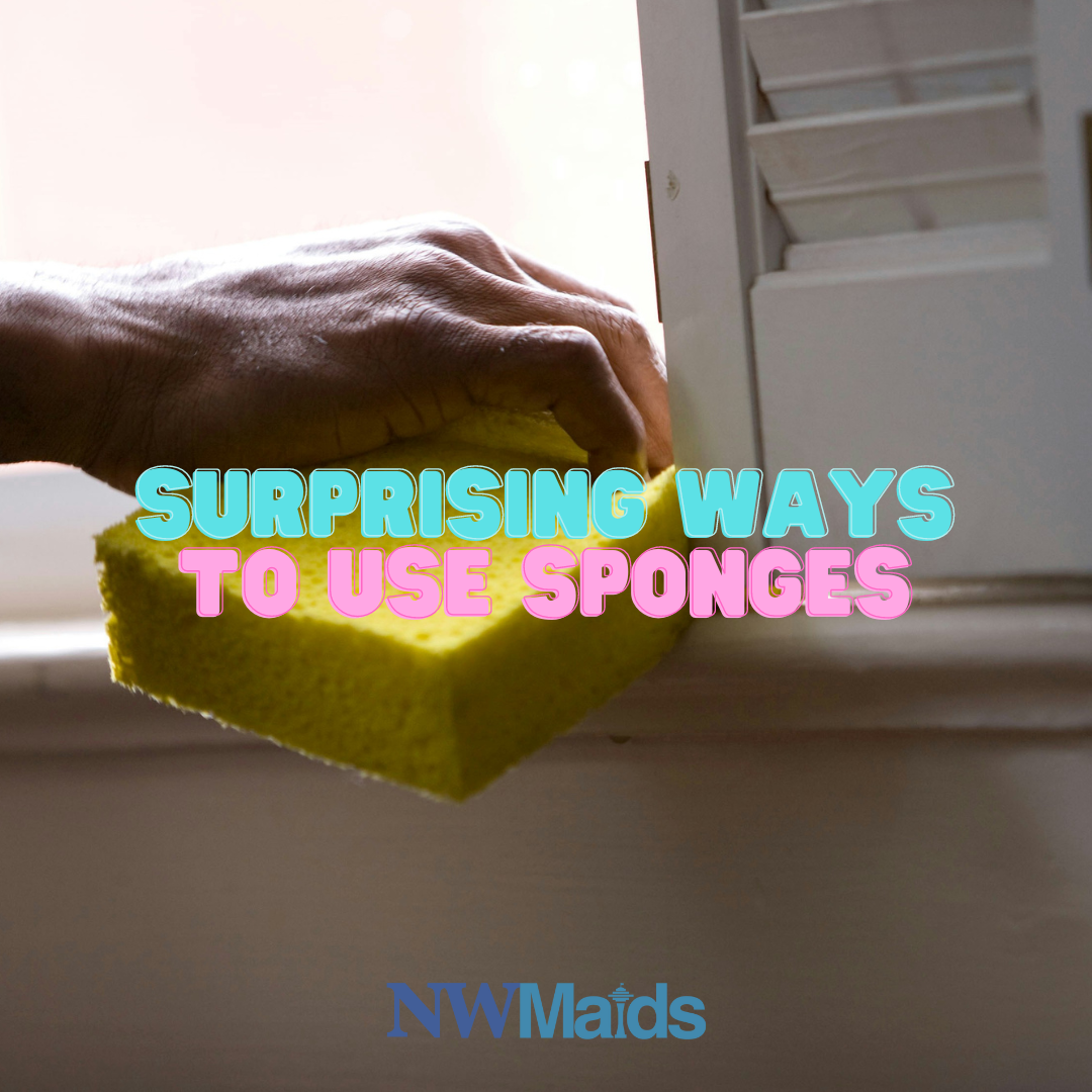 Sponges Unleashed: Surprising Hacks for Everyday Living! | NW Maids
