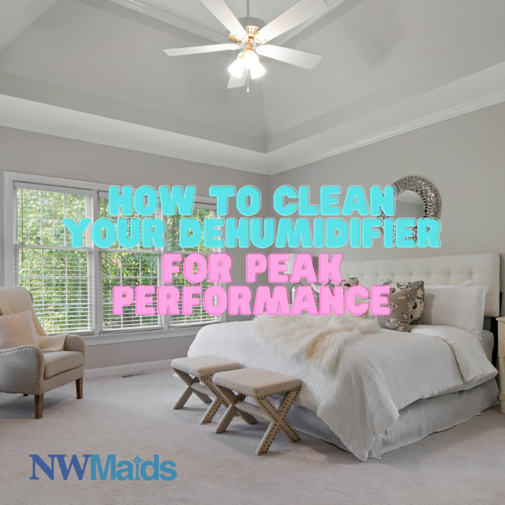 How to Clean Your Dehumidifier for Peak Performance | NW Maids