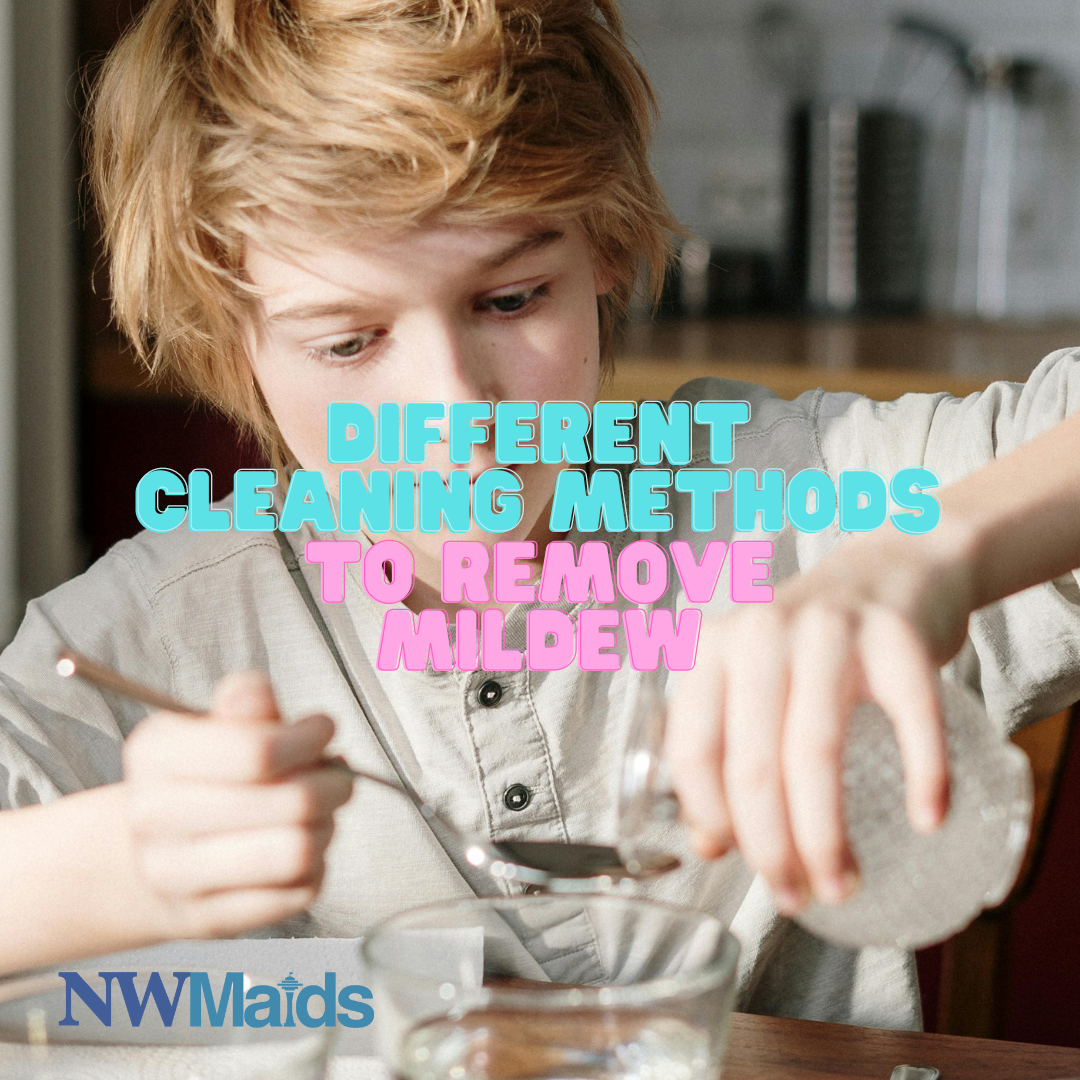 Mastering Mildew: How to Defeat Mold in Your Household | NW Maids